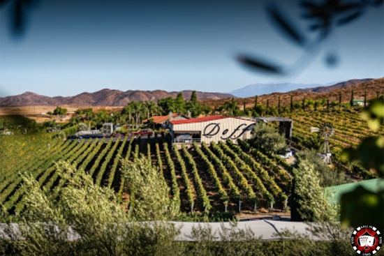 Doffo Winery Wine Tasting Tours | Aall In Limo & Party Bus